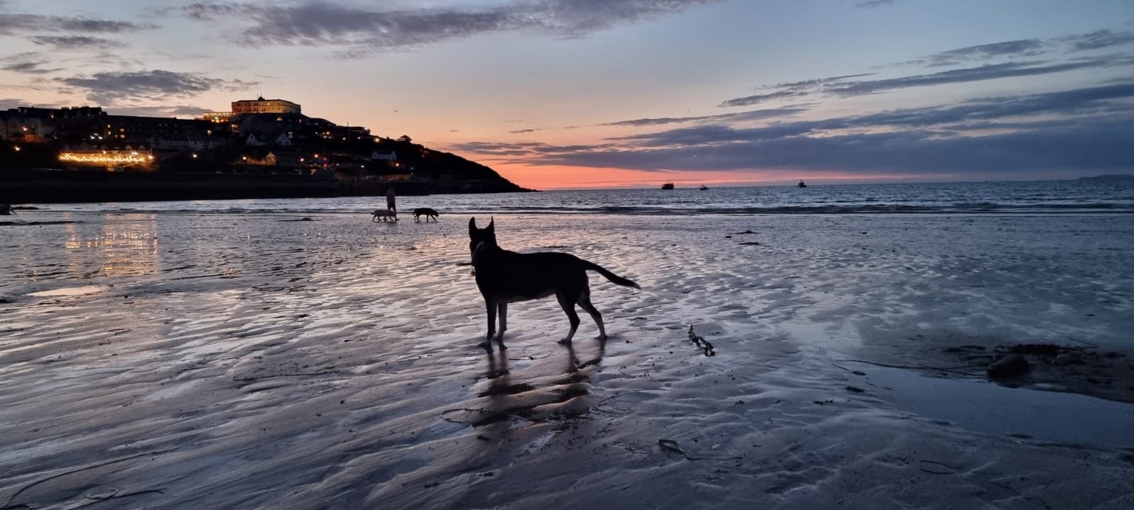 Gallery - Crest Holidays - Holiday Photos - Newquay Guide